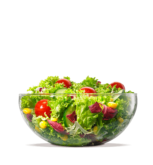 Burger King Low Calorie Menu Items (2026) — 2 Best Options | MenuMacros